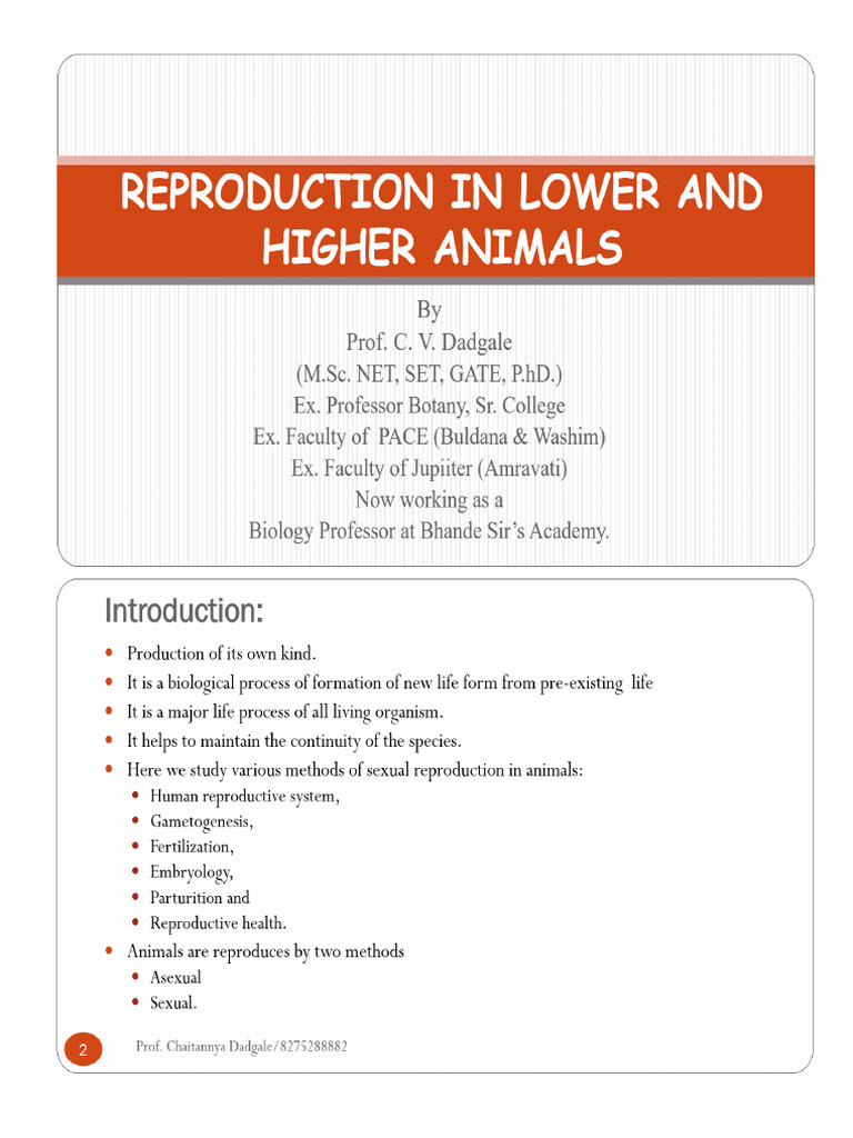 Reproduction in Animals | PDF