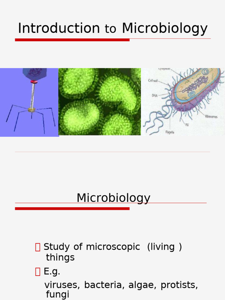 Classification of Microorganisms Lecture 2 | PDF | Lipopolysaccharide ...