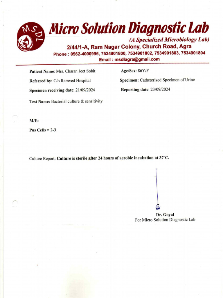 Blood and Urine Culture Report Done On 21.9.24 | PDF