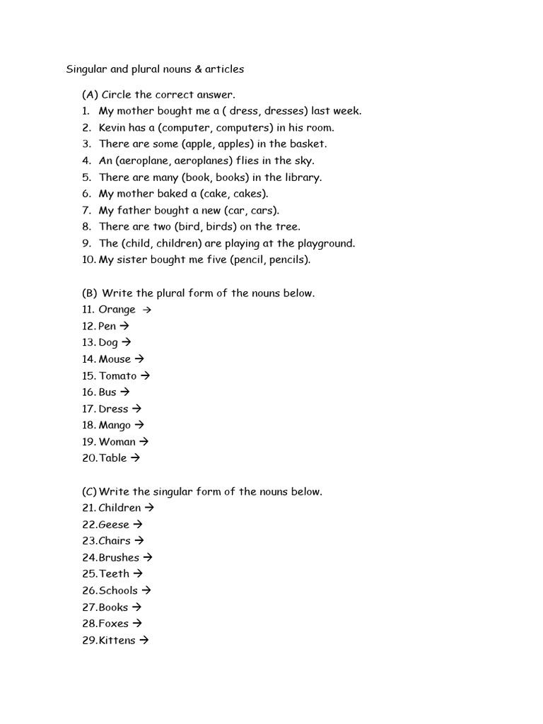 Singular and Plural Nouns & Articles | PDF