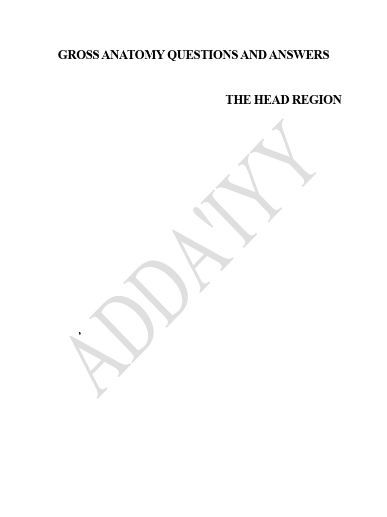 Head Region Anatomy Q&A Guide | PDF | Common Carotid Artery | Skull