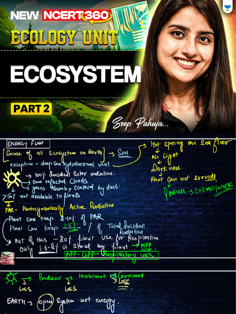 L2 Ecosystem | PDF
