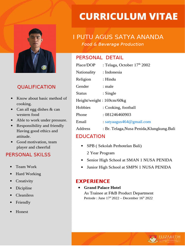 CV Agus Satya | PDF