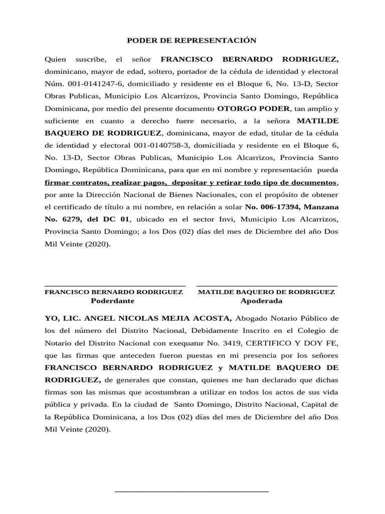 Poder De Representación Notarial Pdf