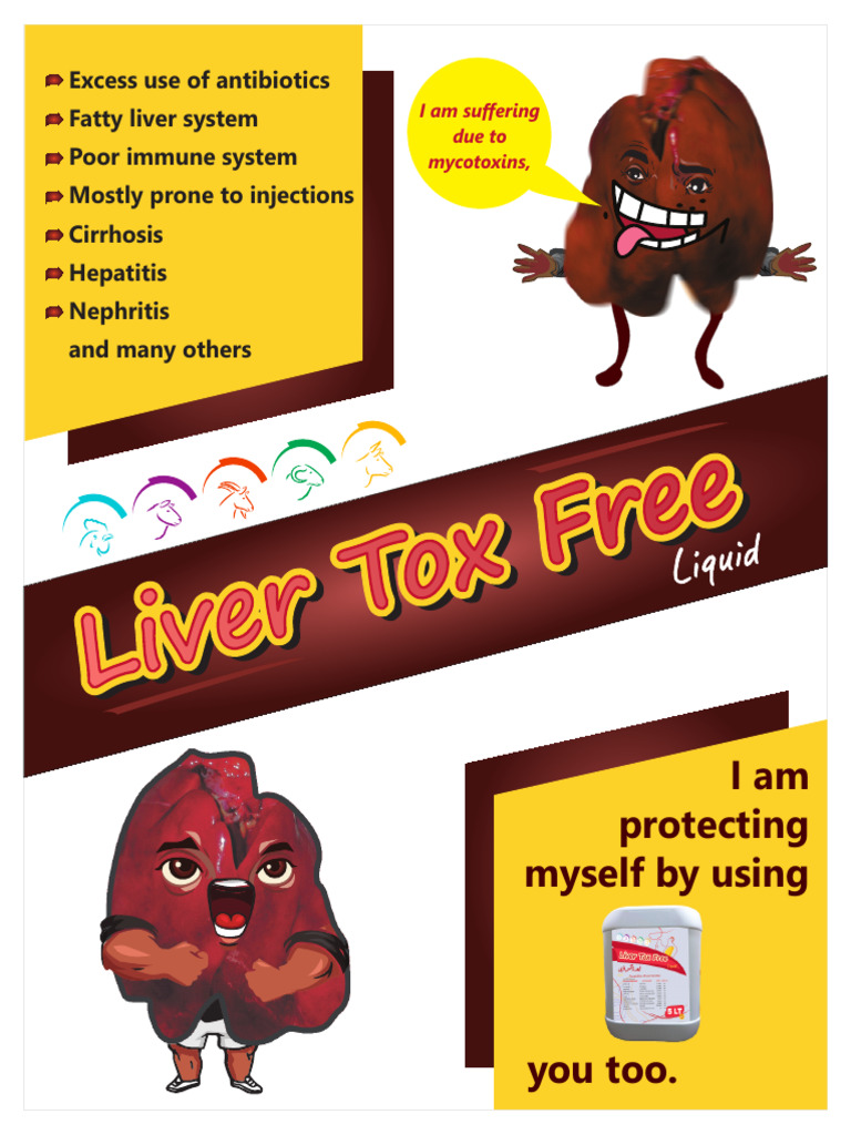 free tox | PDF | Lysine | Liver