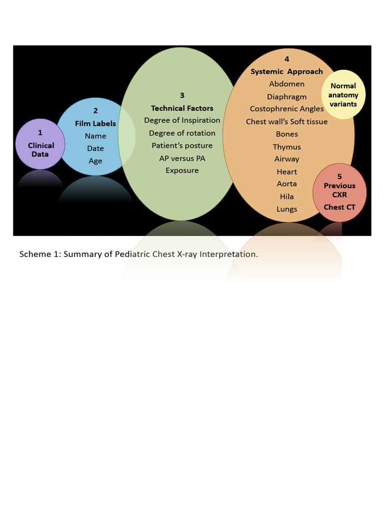 Reading Normal Pediatric Chest X Ray (Figures) - DR Sandra | PDF ...
