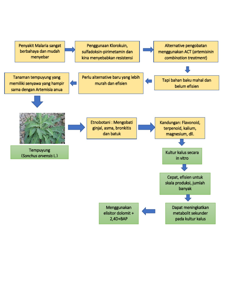 Contoh Bagan Alir Penelitian | PDF