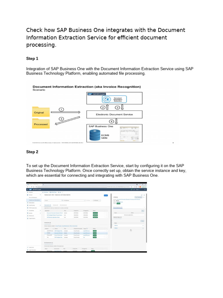 Check How Sap Business One Integrates With The Document Information Extraction Service For