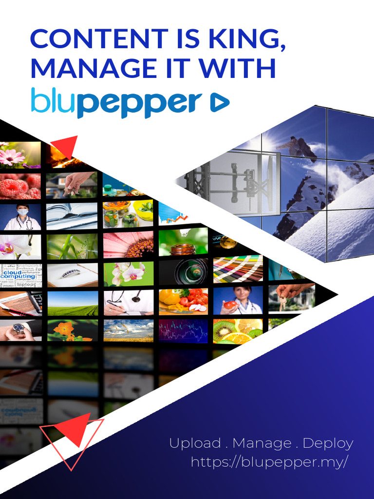Blupepper Brochure | PDF | Cloud Computing | Computing