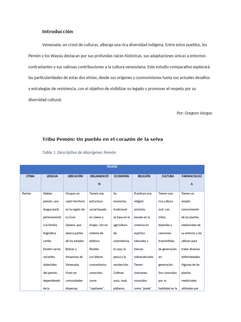 Cultura y medicina de los Pemón en Venezuela | PDF | Chamanismo | Textiles