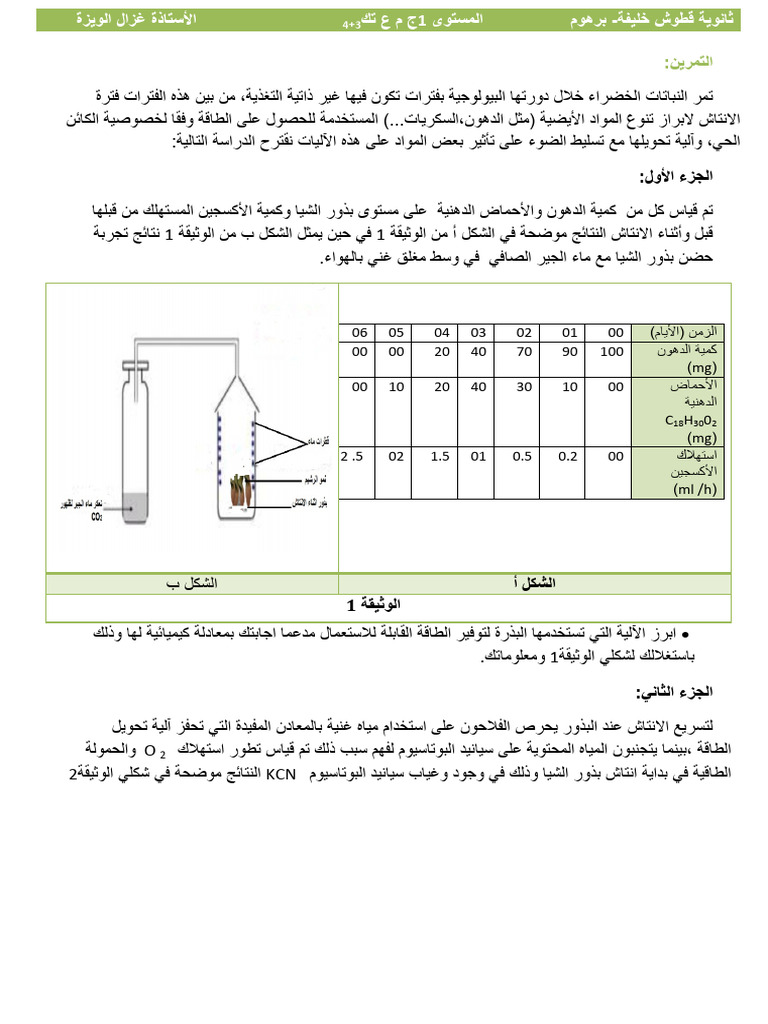 Dev2 2 1ter Louiza | PDF