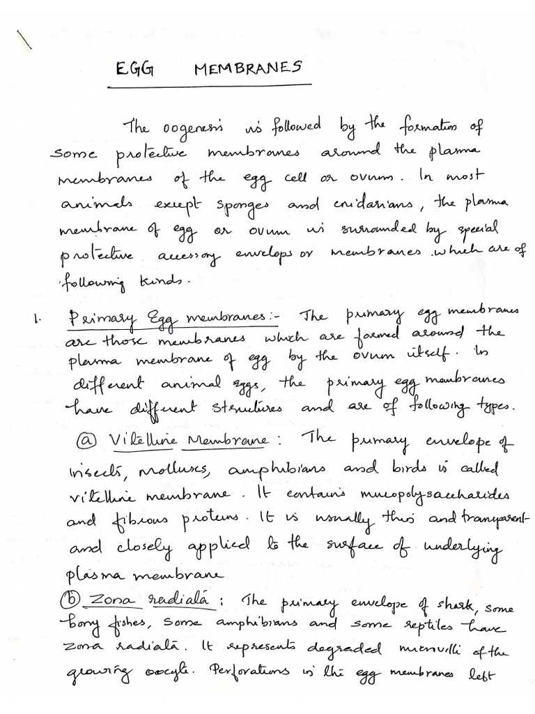 Egg Membranes | PDF