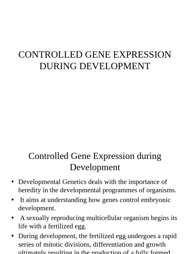 Controlled Gene Expression During Development | PDF | Developmental ...