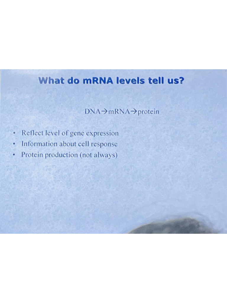 PCR Lecture by Sumiran Mam | PDF