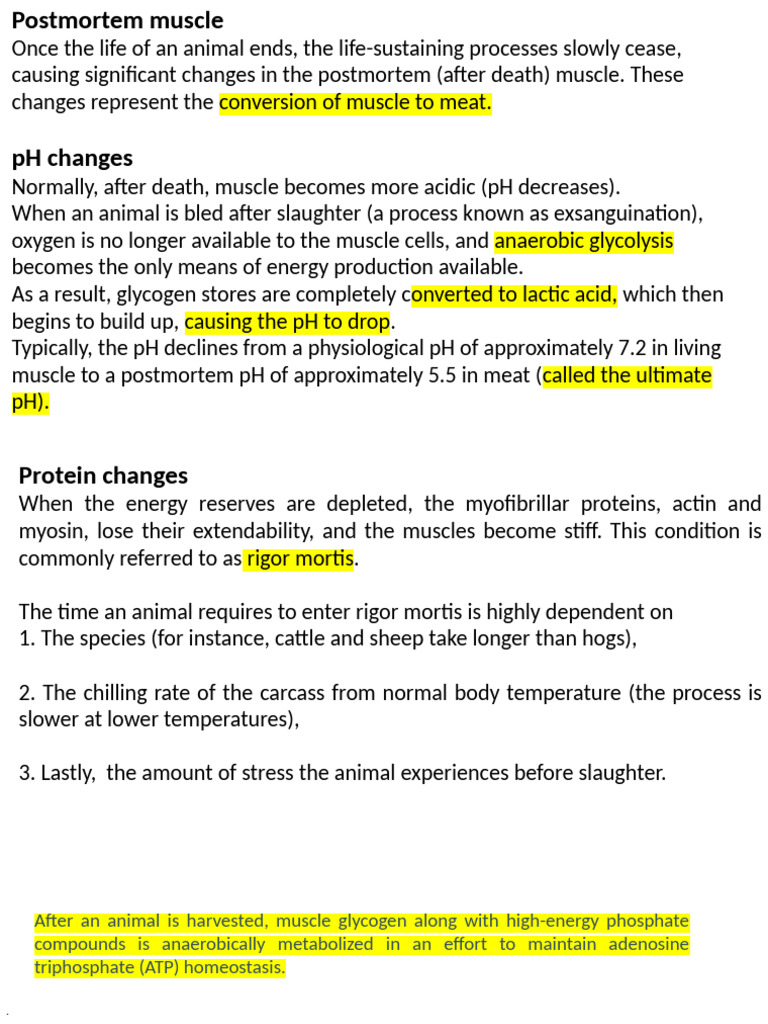 Rigor Mortis-Circilated | PDF | Meat