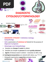 Cytologic Patterns - Eclinpath | PDF | Inflammation | Macrophage