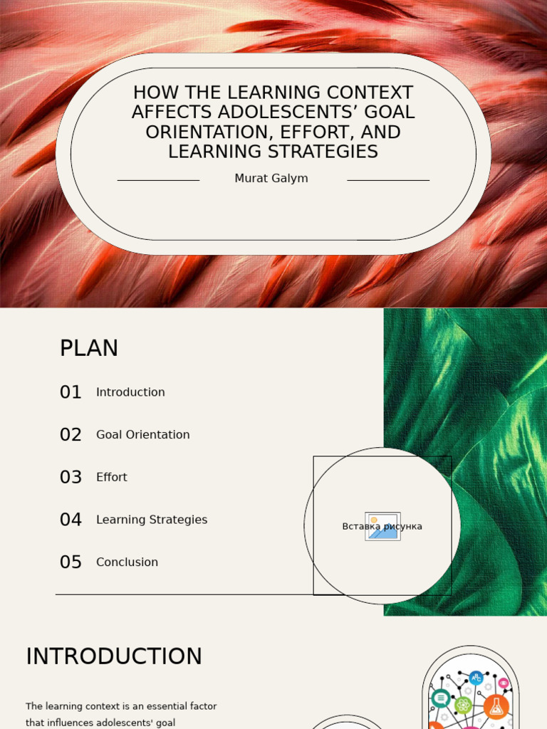 How The Learning Context Affects Adolescents' Goal | PDF | Adolescence | Motivational