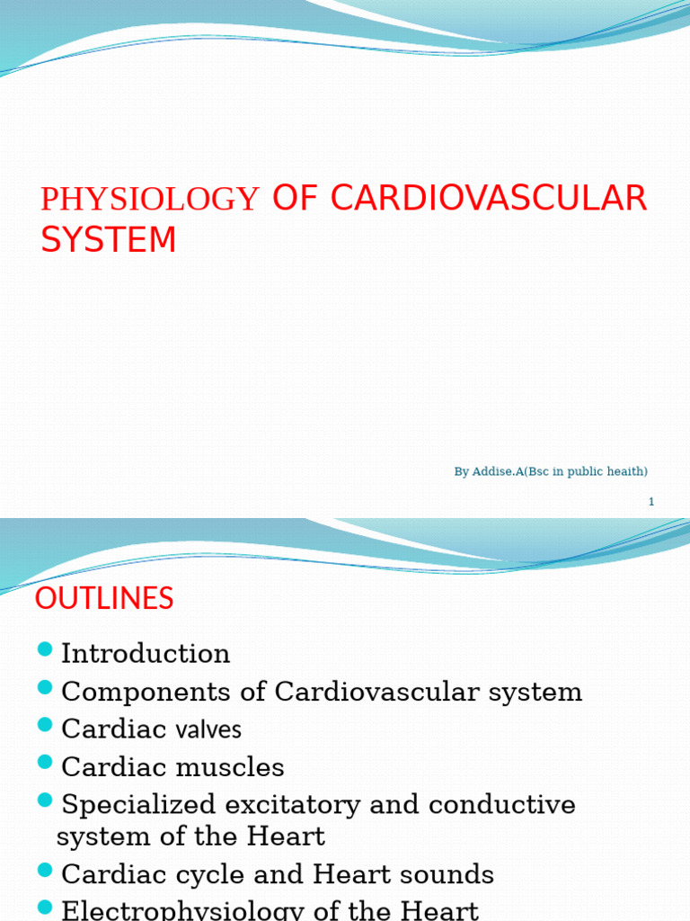 ADDISE CVS Final | PDF | Heart | Artery