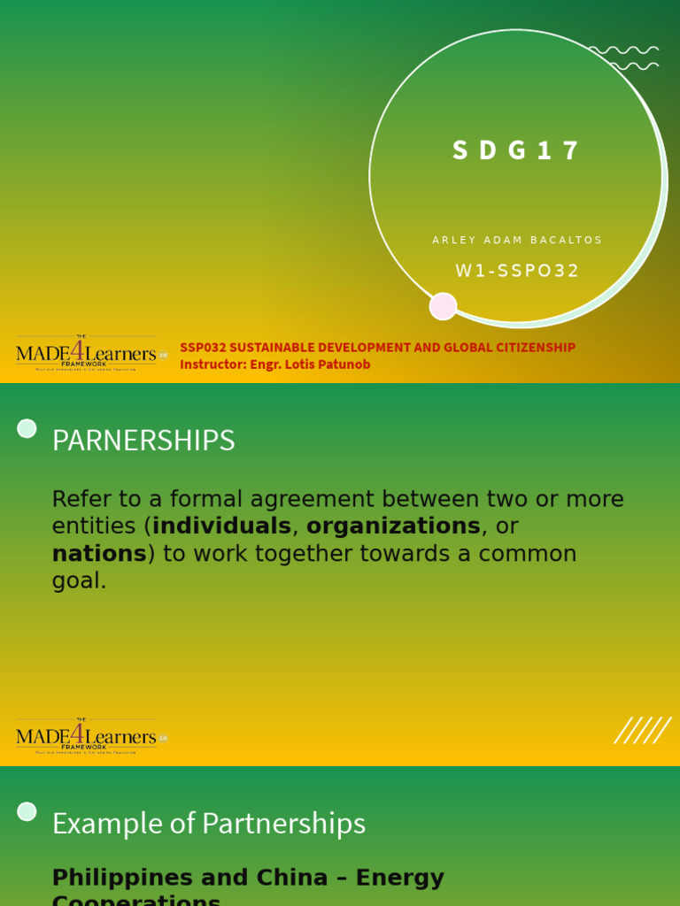SDG17 | PDF