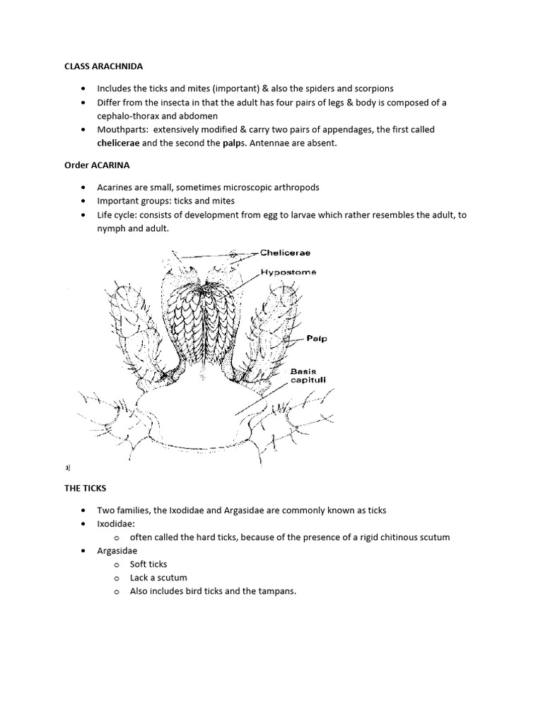 Lecture 10 - ARACHNIDA NOTES | PDF