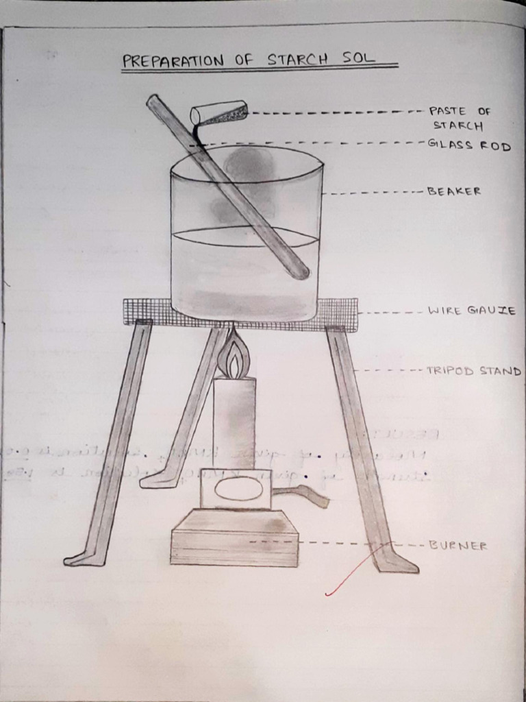 Concept Based Expt 1 | PDF