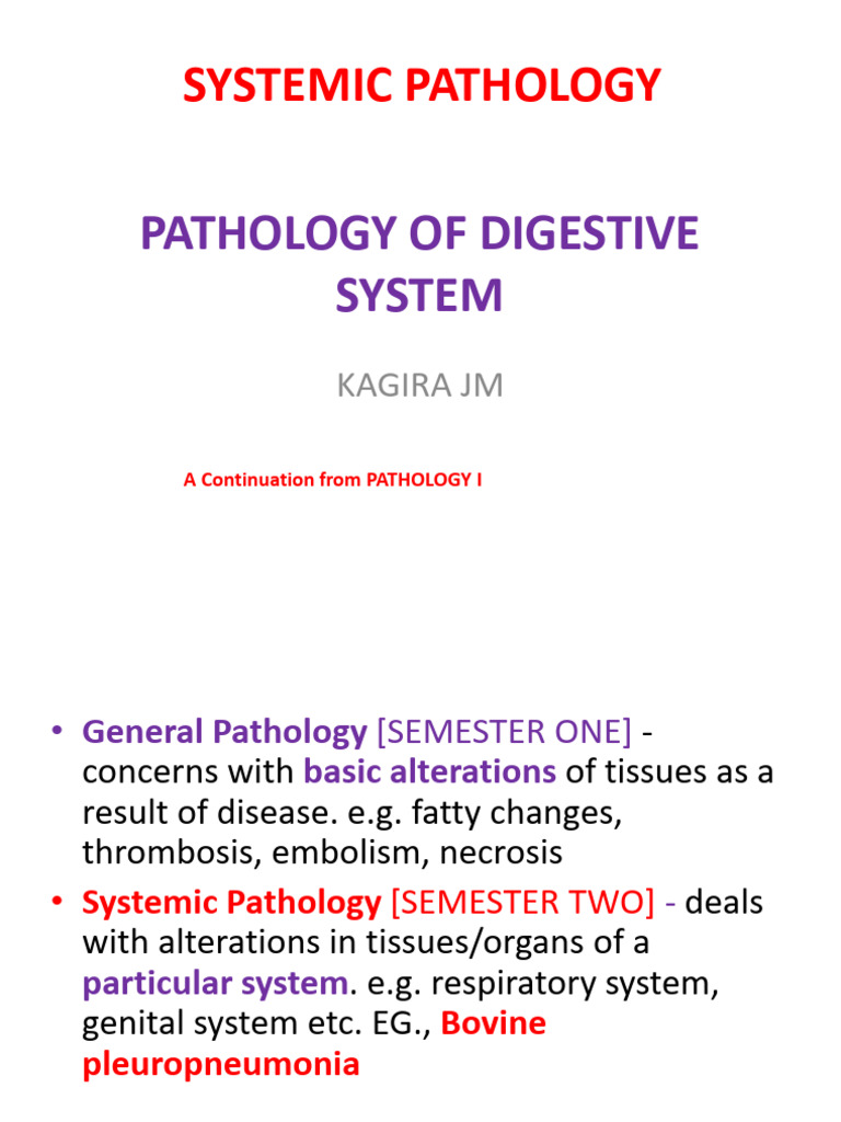 Lecture 1 - PATHOLOGY OF DIGESTIVE SYSTEM 2022 | PDF | Gastrointestinal ...
