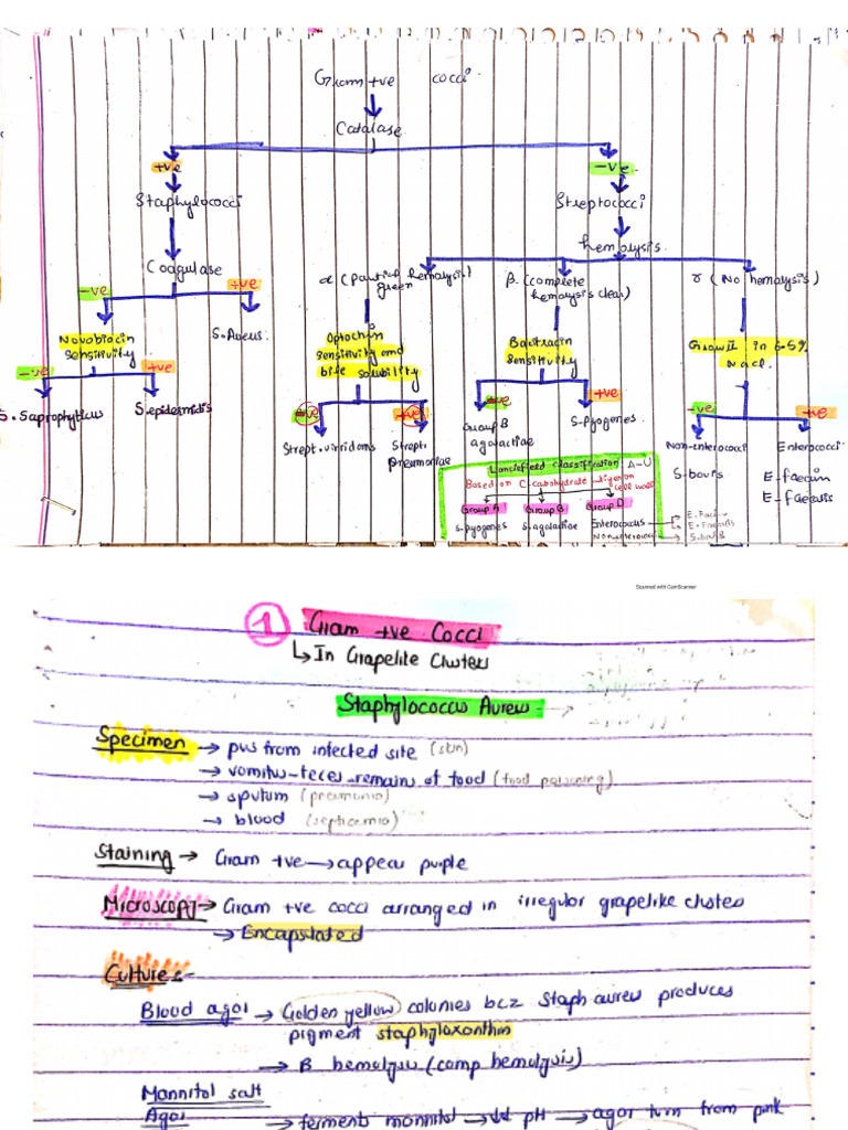 Nagler Reaction for Toxin Detection | PDF