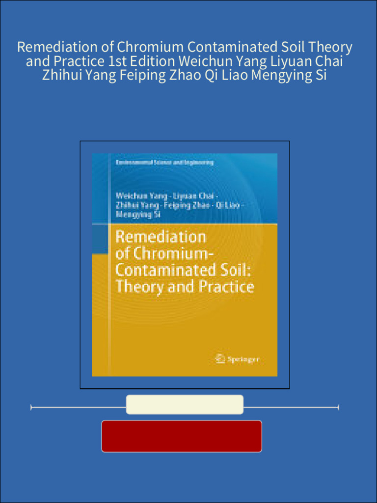 Remediation of Chromium Contaminated Soil Theory and Practice 1st ...