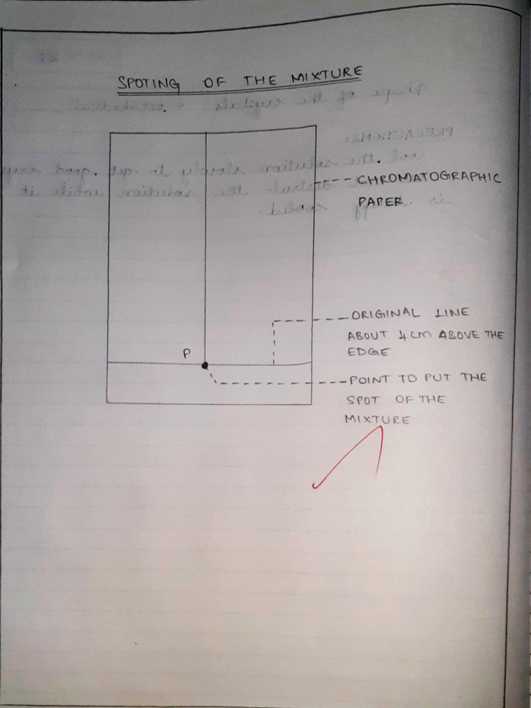 Concept Based Expt 4 | PDF