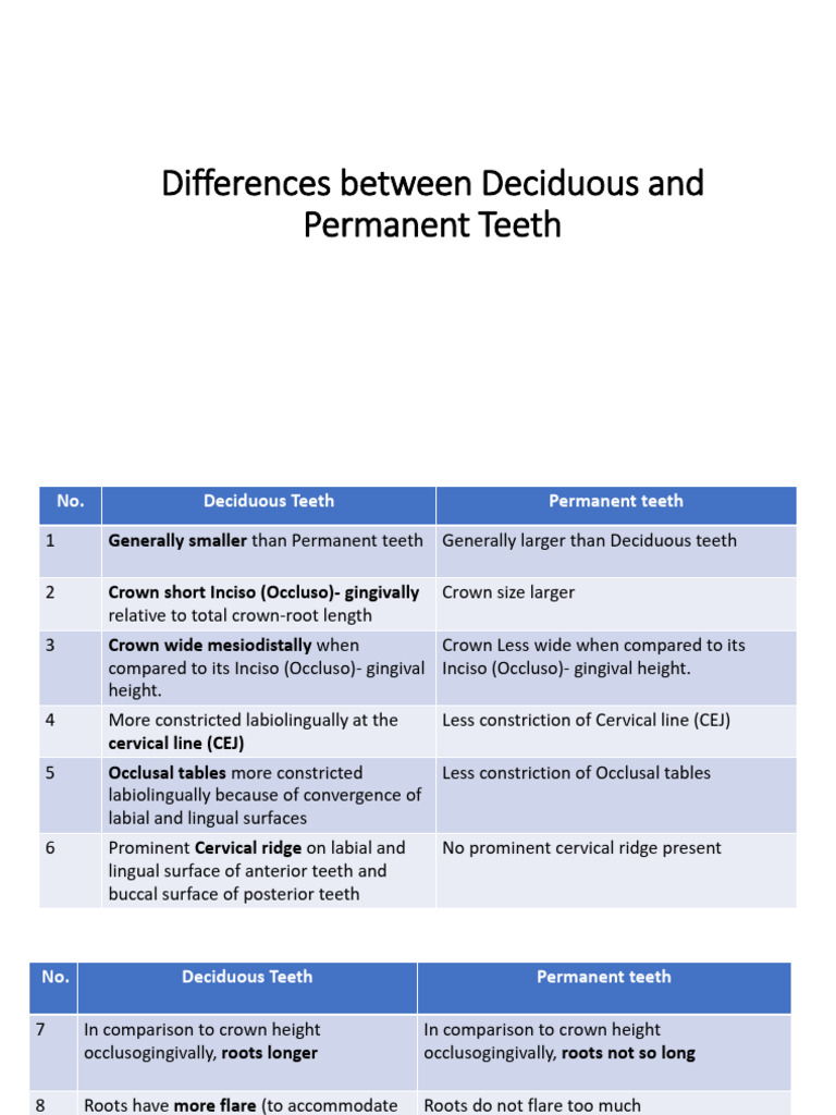 Deciduous vs Permanent Teeth Differences | PDF