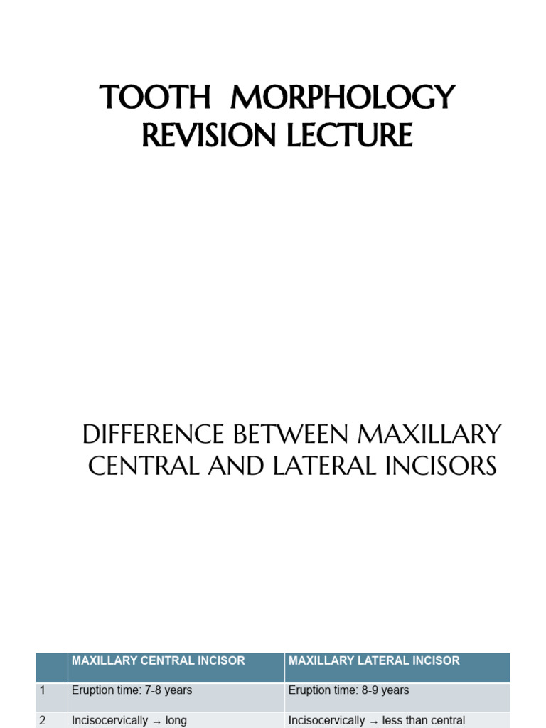 Tooth Morphology Differences | PDF | Dental Anatomy | Dentistry Branches