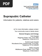 Catheter Care Plan | PDF | Catheter | Medical Specialties