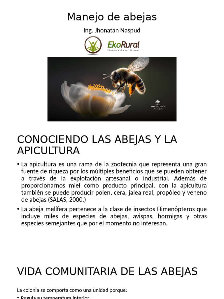 Manejo de abejas JN | PDF | Colmena | Apicultura Manejo de abejas JN | PDF | Colmena | Apicultura
