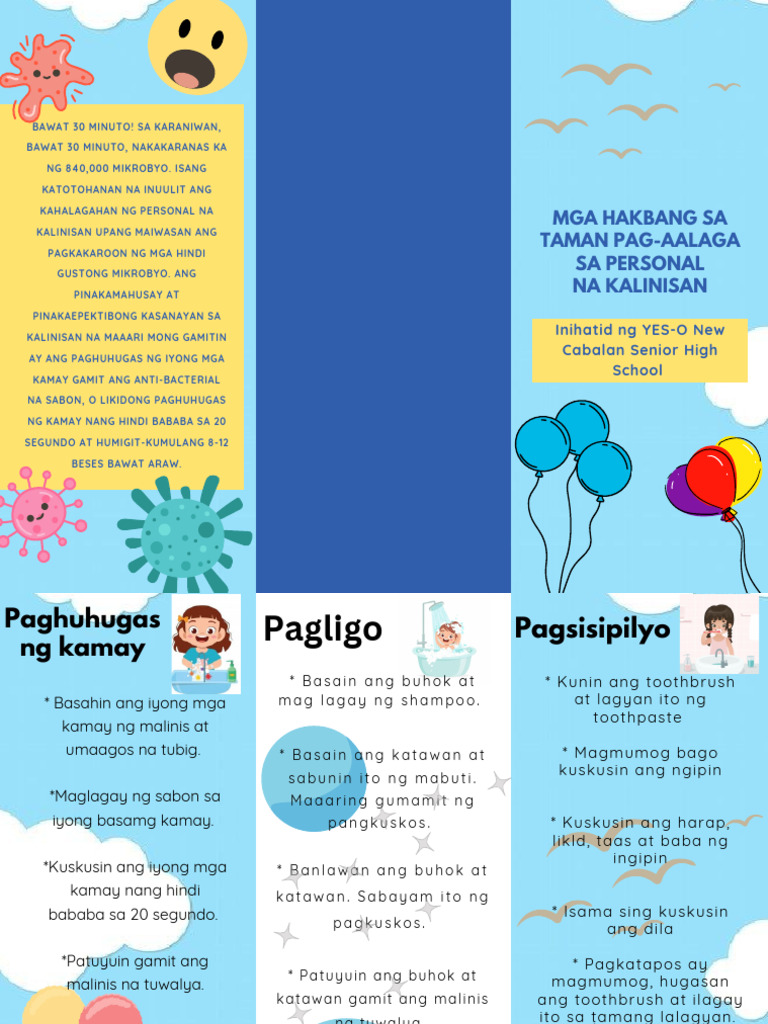 Pamphlet-Personal-Hygiene 20241012 231757 0000 | PDF