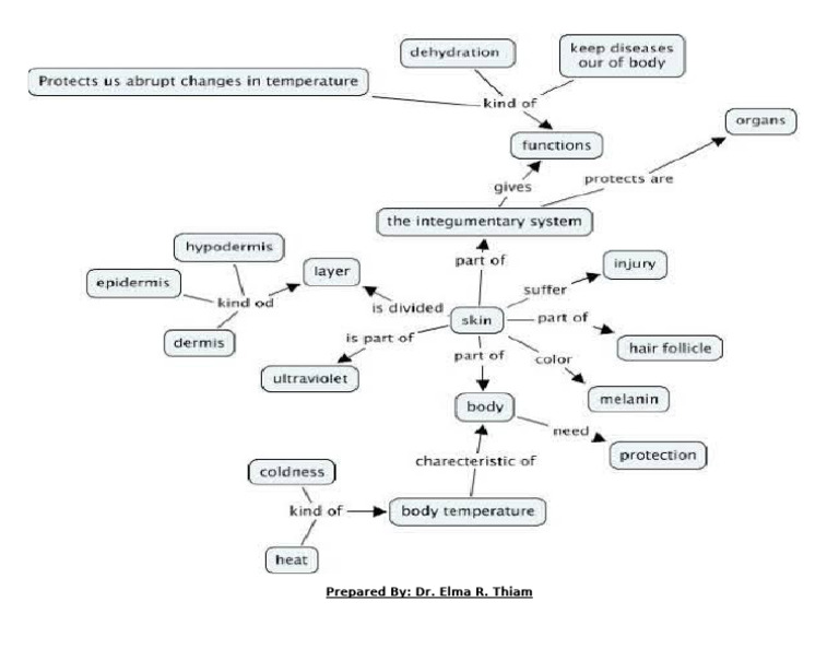 MODULE-11-A.-CONCEPT-MAP-INTEGUMENTARY-SYSTEM | PDF
