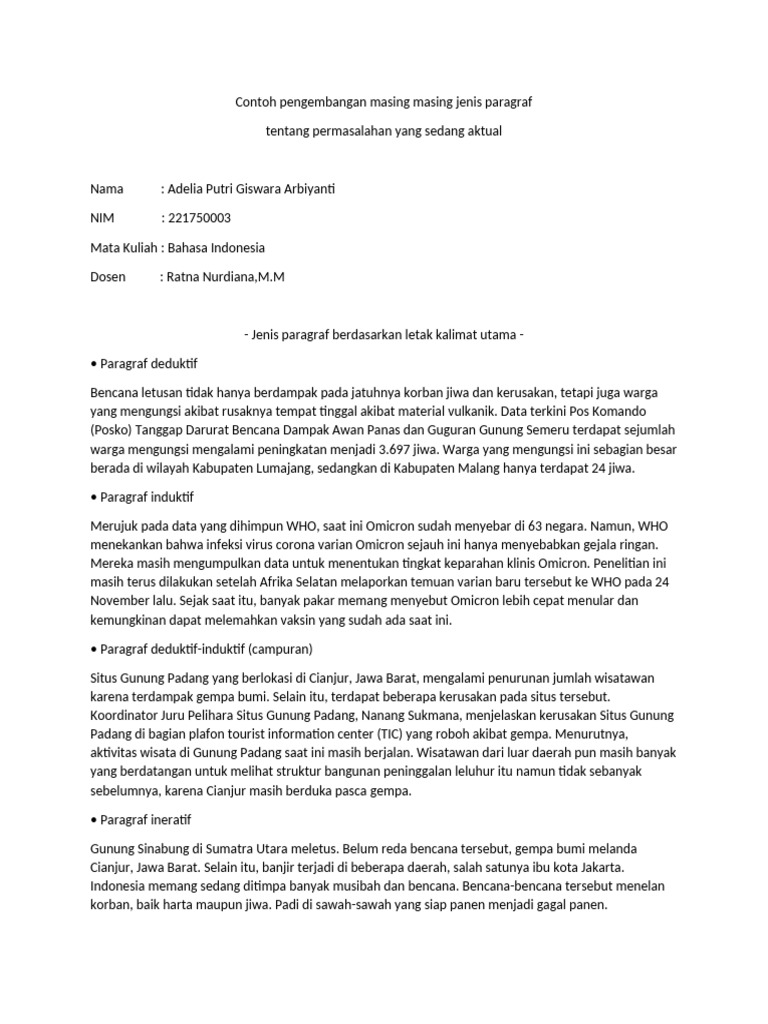 Tugas Contoh Paragraf | PDF