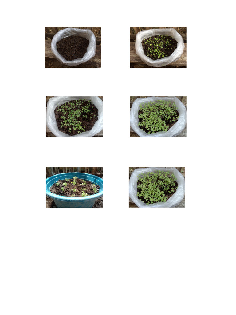 Planting | PDF