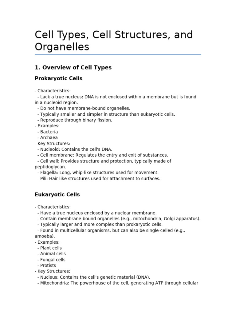 Cell Long Quiz Study Guide | PDF | Cell (Biology) | Endoplasmic Reticulum