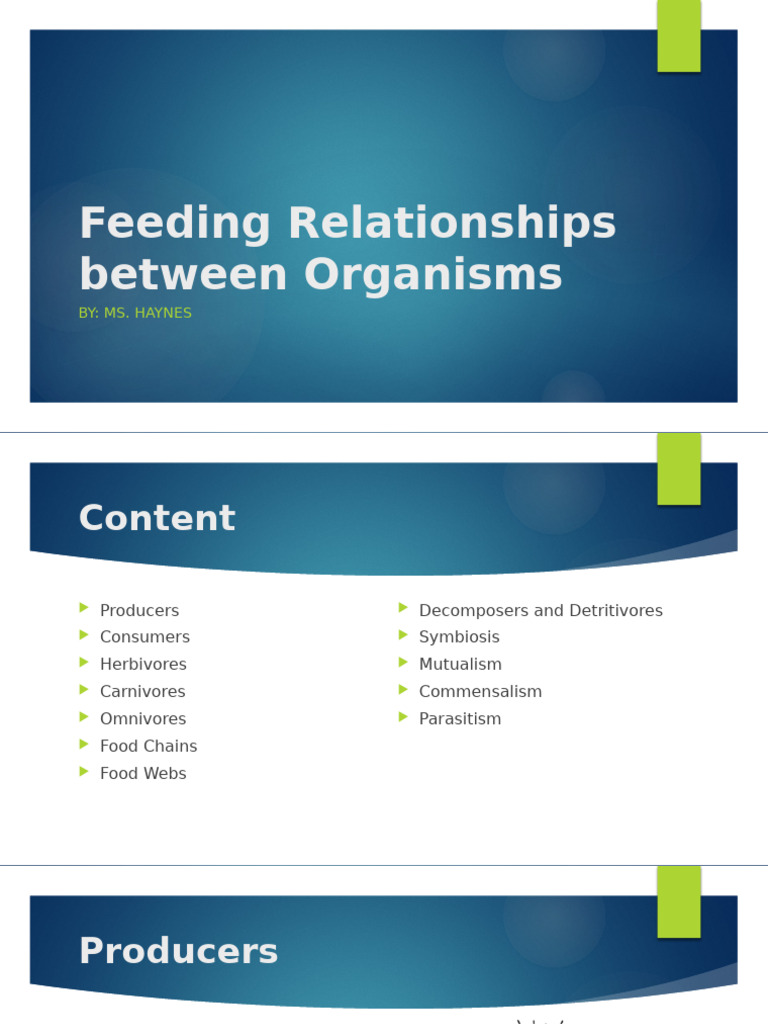 Types of Feeding Relationships in Ecosystems | PDF | Food Web | Herbivore