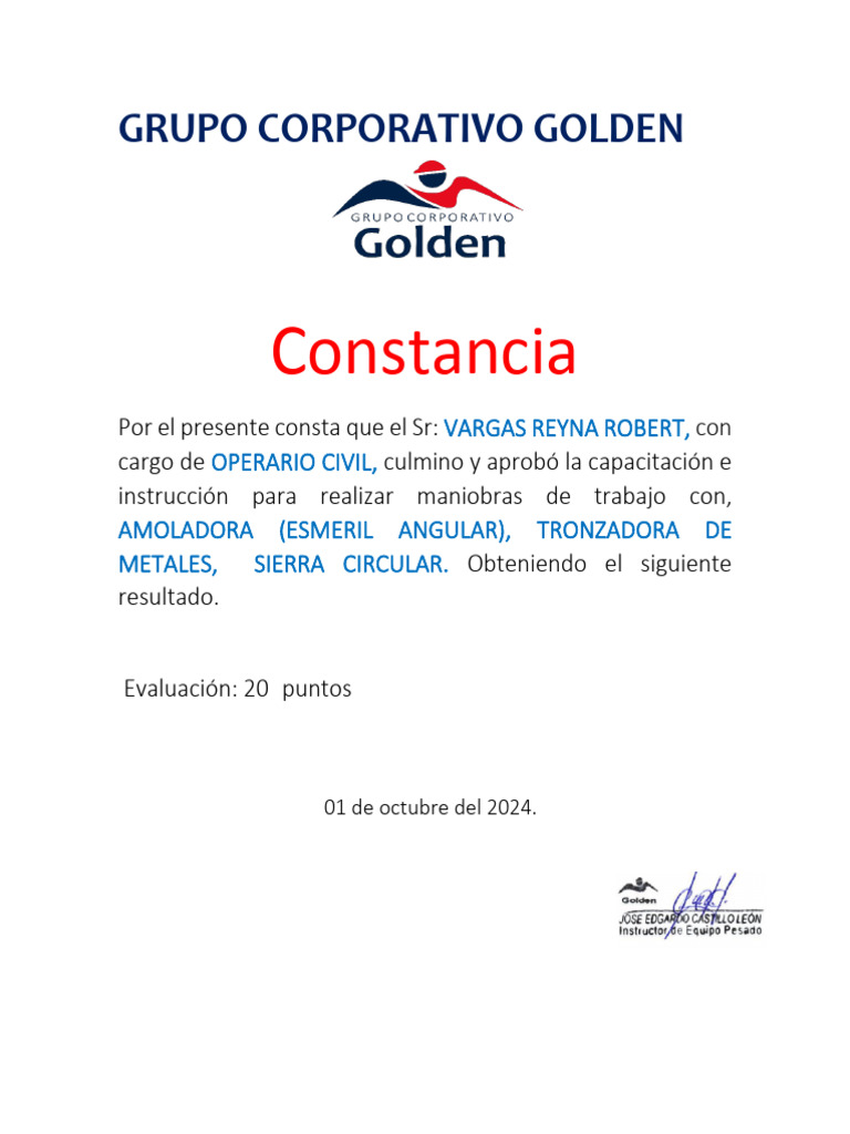 06.-Constancia Vargas Reyna Robert | PDF