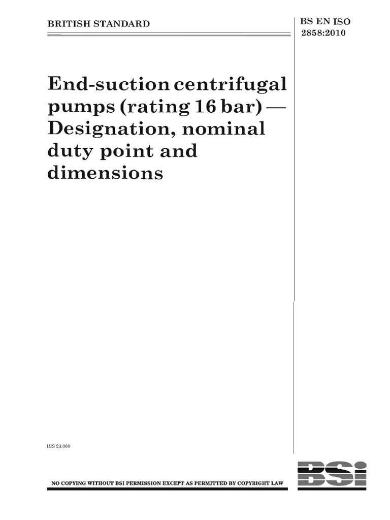 BS en Iso 2858-2010 - 241129 - 102855 | PDF