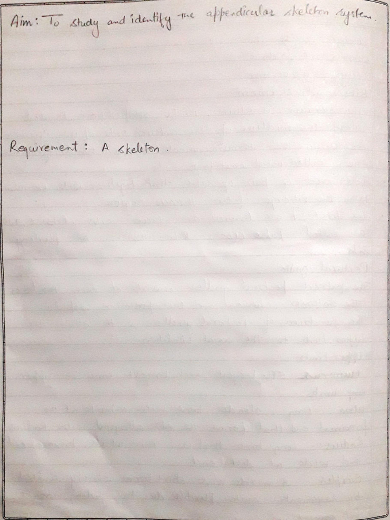 To Study and Identify Appendicular Skeleton, Hap Practical | PDF