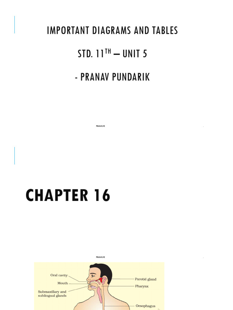 Unit - 5 Imp Diagrams and Tables | PDF