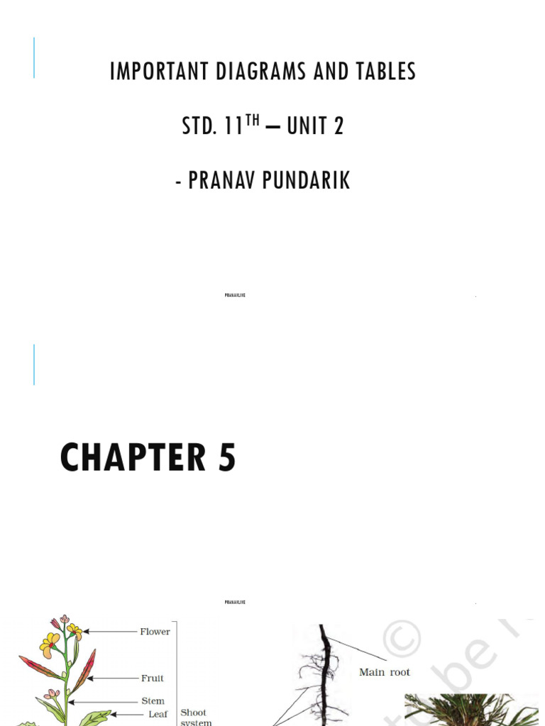 Unit - 2 Imp Diagrams and Tables | PDF