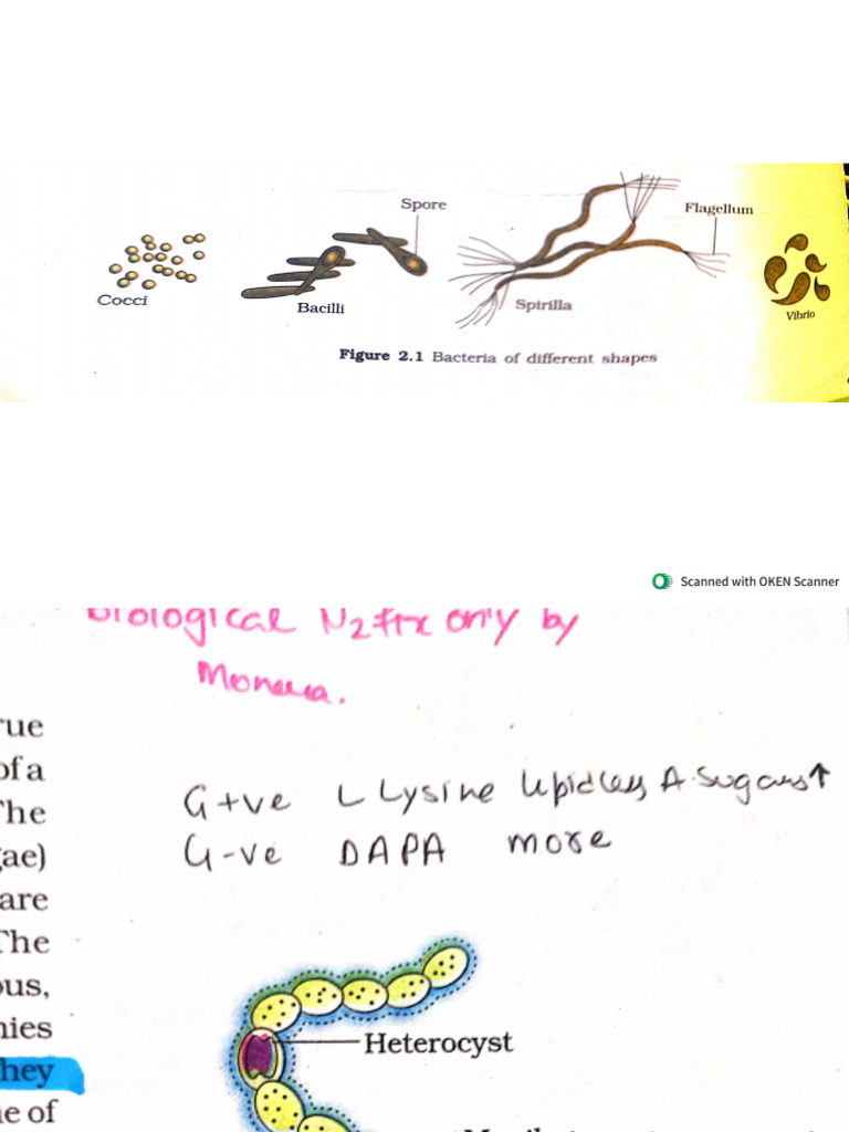 Unit - 1 Imp Diagrams and Tables | PDF