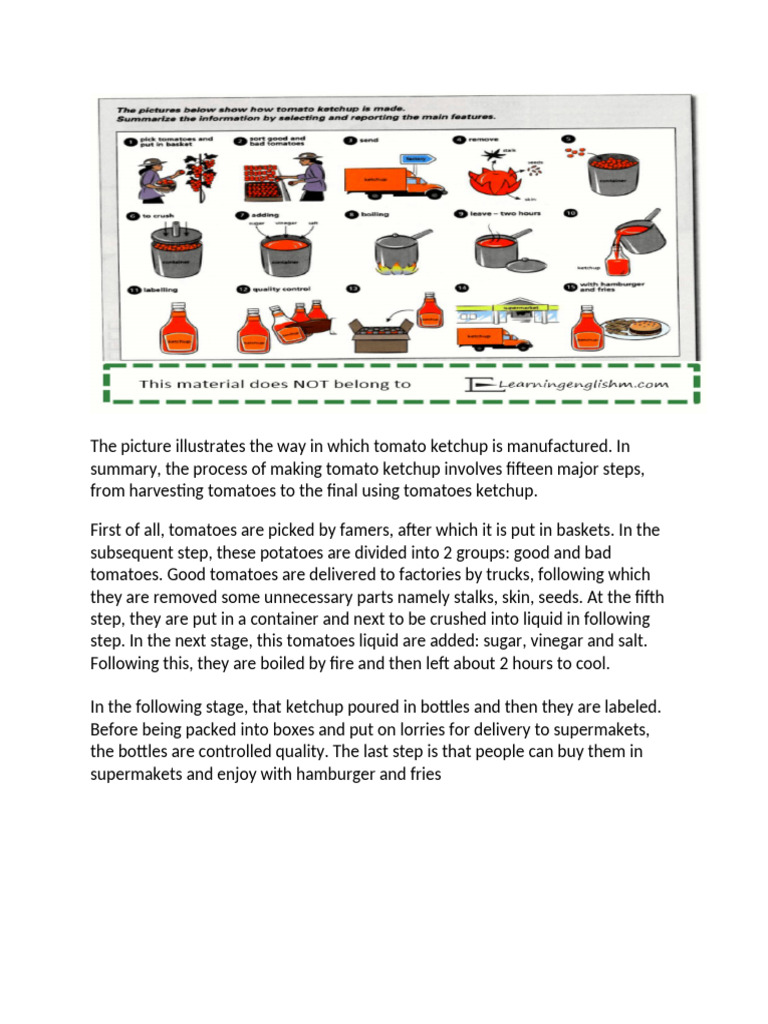 Ketchup Manufacturing Process Explained | PDF