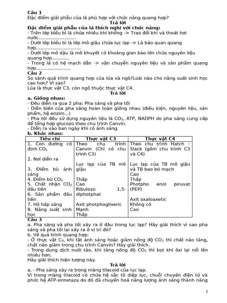 2. CÂU HỎI QUANG HOP | PDF