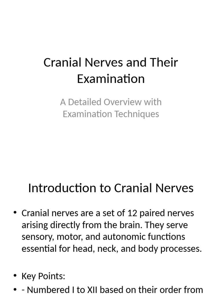 Detailed Cranial Nerves Presentation | PDF | Nervous System | Human Anatomy