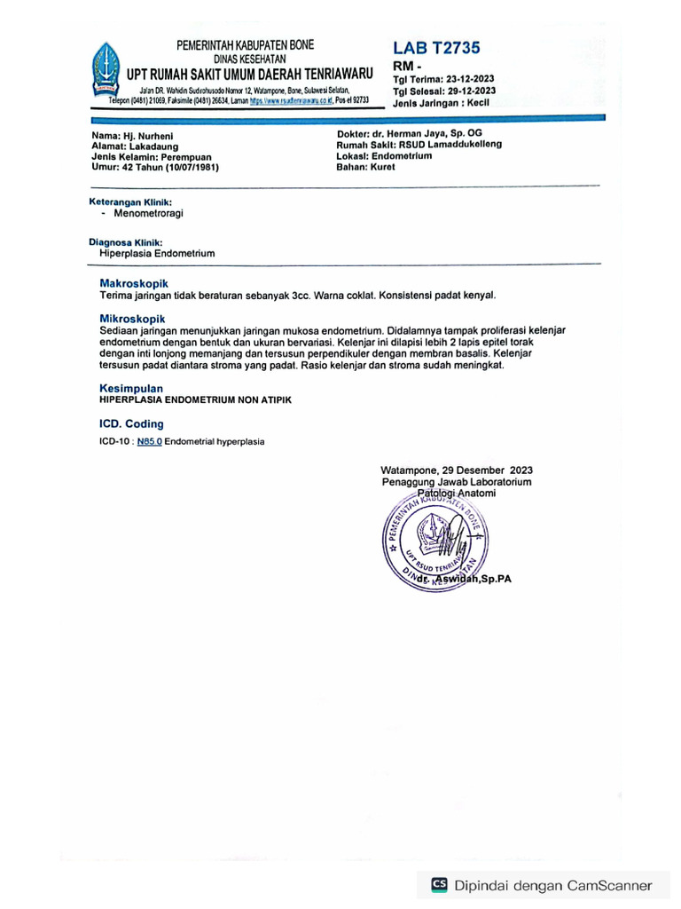 T2735 Hj. Nurhaeni | PDF