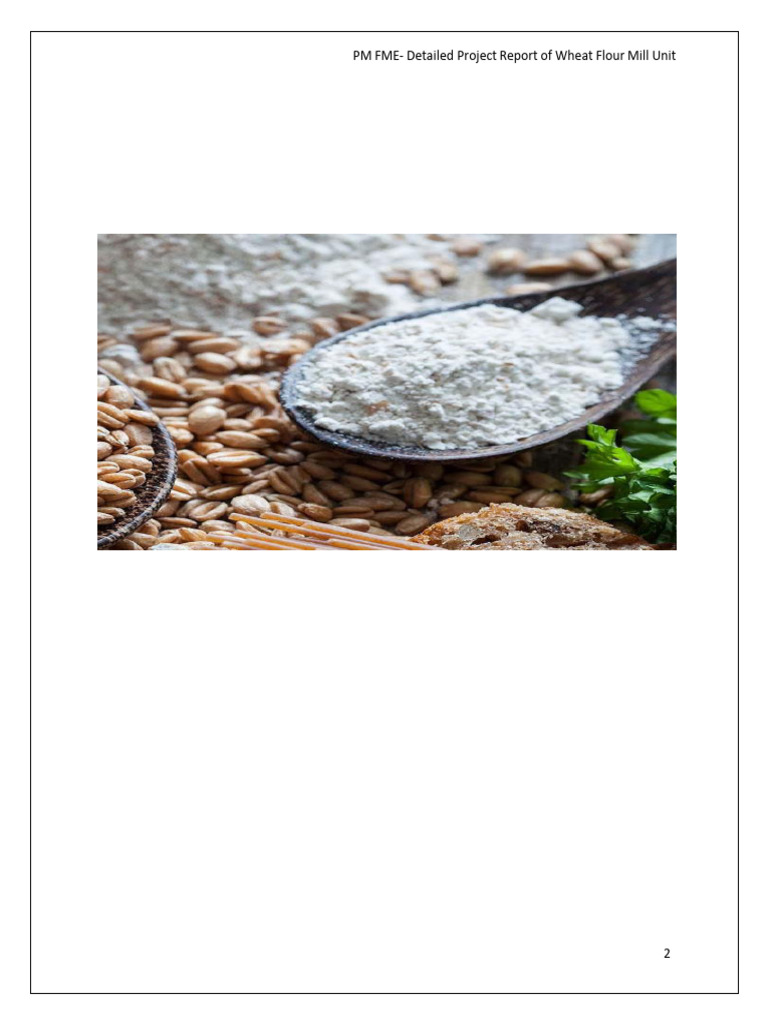 Wheat Flour Processing Project Report | PDF | Mill (Grinding) | Flour
